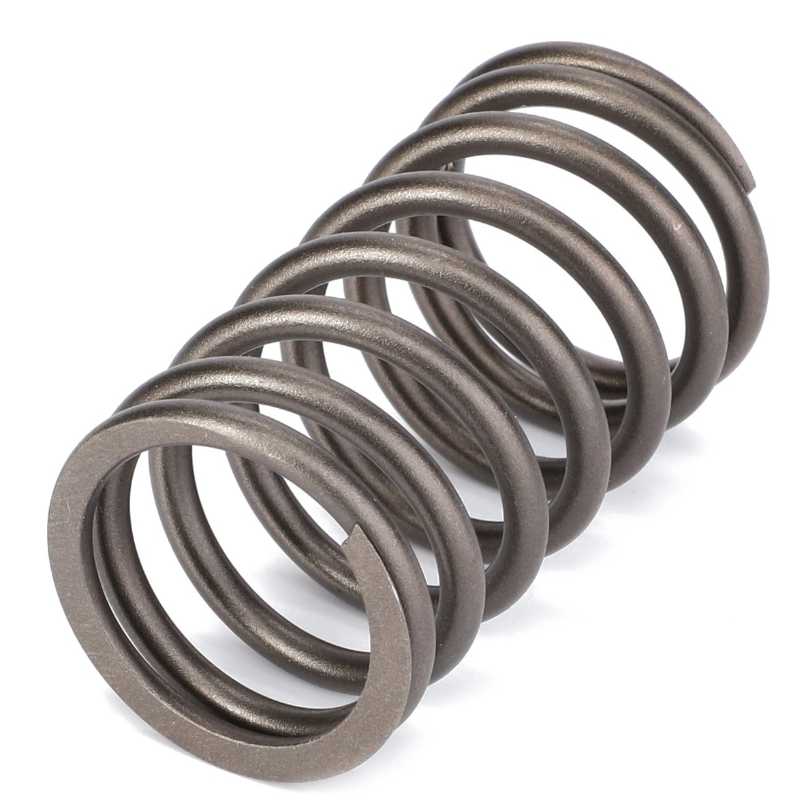 Resorte de Válvula - mx-V837073405 - AGCO Parts